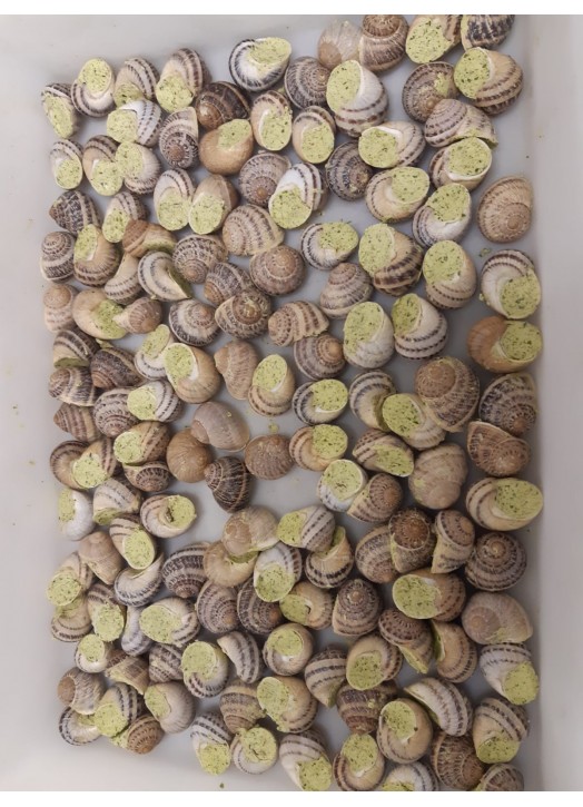 ESCARGOTS FARCIS AU BEURRE A L’AIL PERSILLE DE LA CARACOLE